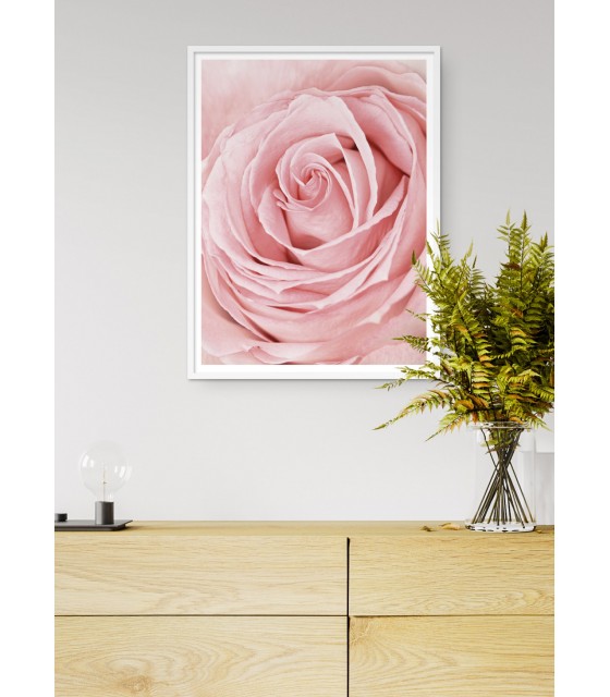 Pink Rose Flower, Poster Nature pour chambre zen | L’Afficherie