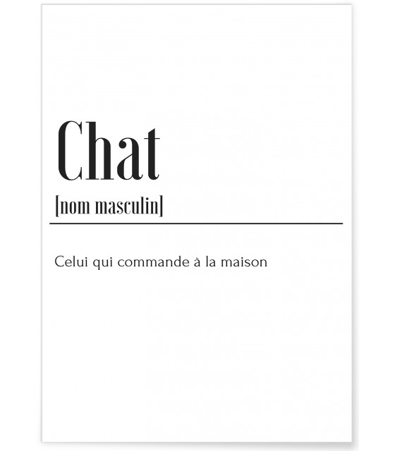 Poster de Chat, définition originale à afficher | L’Afficherie
